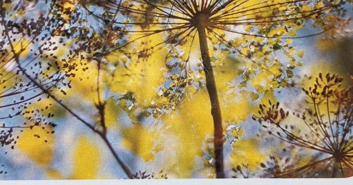 Chordoma Foundation | Roelien's Uncommon Story